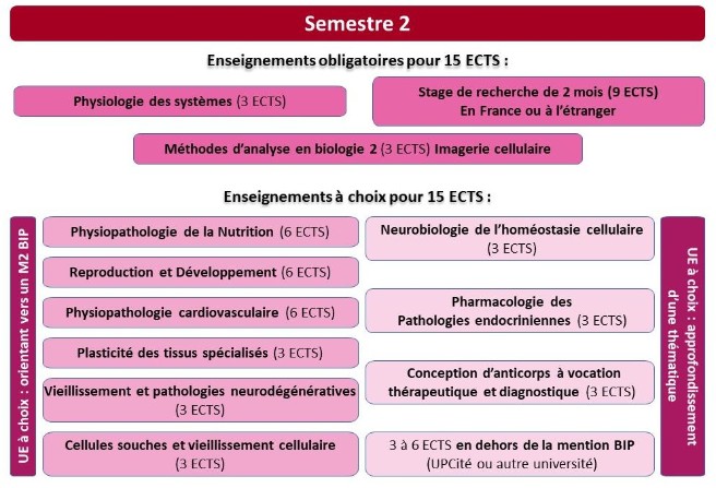 Master Biologie Intégrative et Physiologie - Parcours : Physiologie Animale et Pathologies ...